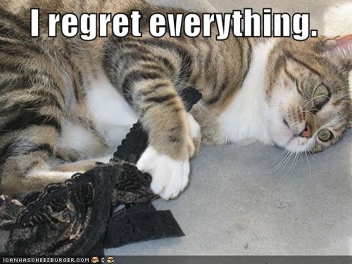 Octocat. | Cats | Know Your Meme