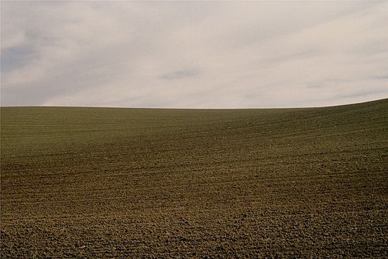 Empty Field