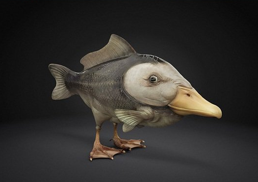 Page 2 of comments at Science