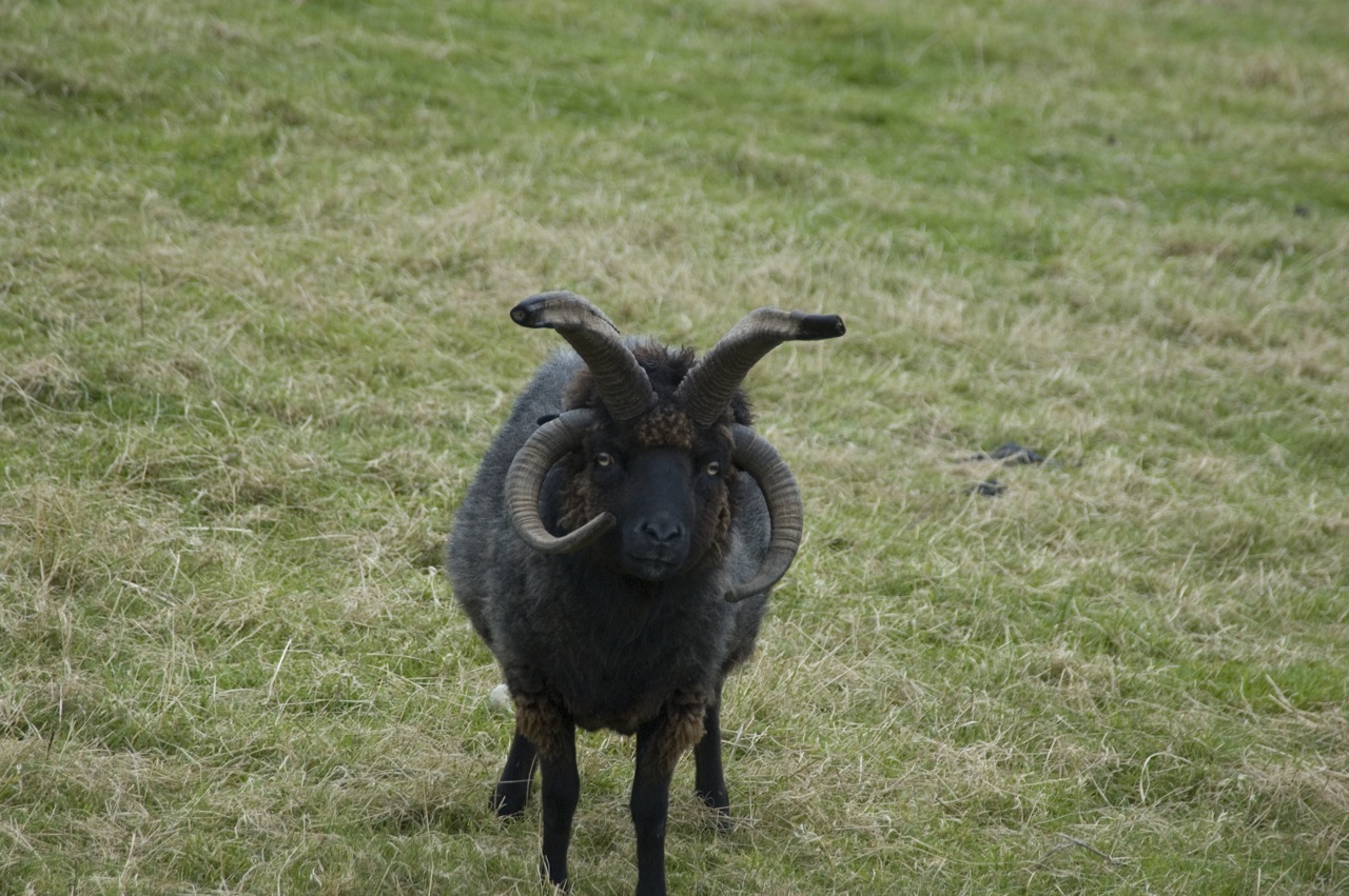 Just a little... Evil