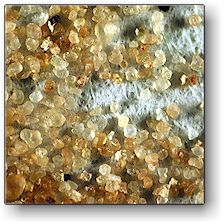 Sand Under Microscope 250x
