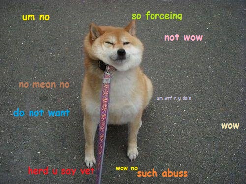 View topic - JBD #682 - shibe open - winners!! - Chicken Smoothie