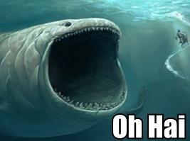 Dugong Memes